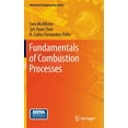 Mechanical Engineering: Fundamentals of Combustion Processes (Hardcover) - Walmart.com