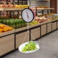Mechanical Hanging Scale with Tray – 22lb/10kg Capacity Double-Sided ...