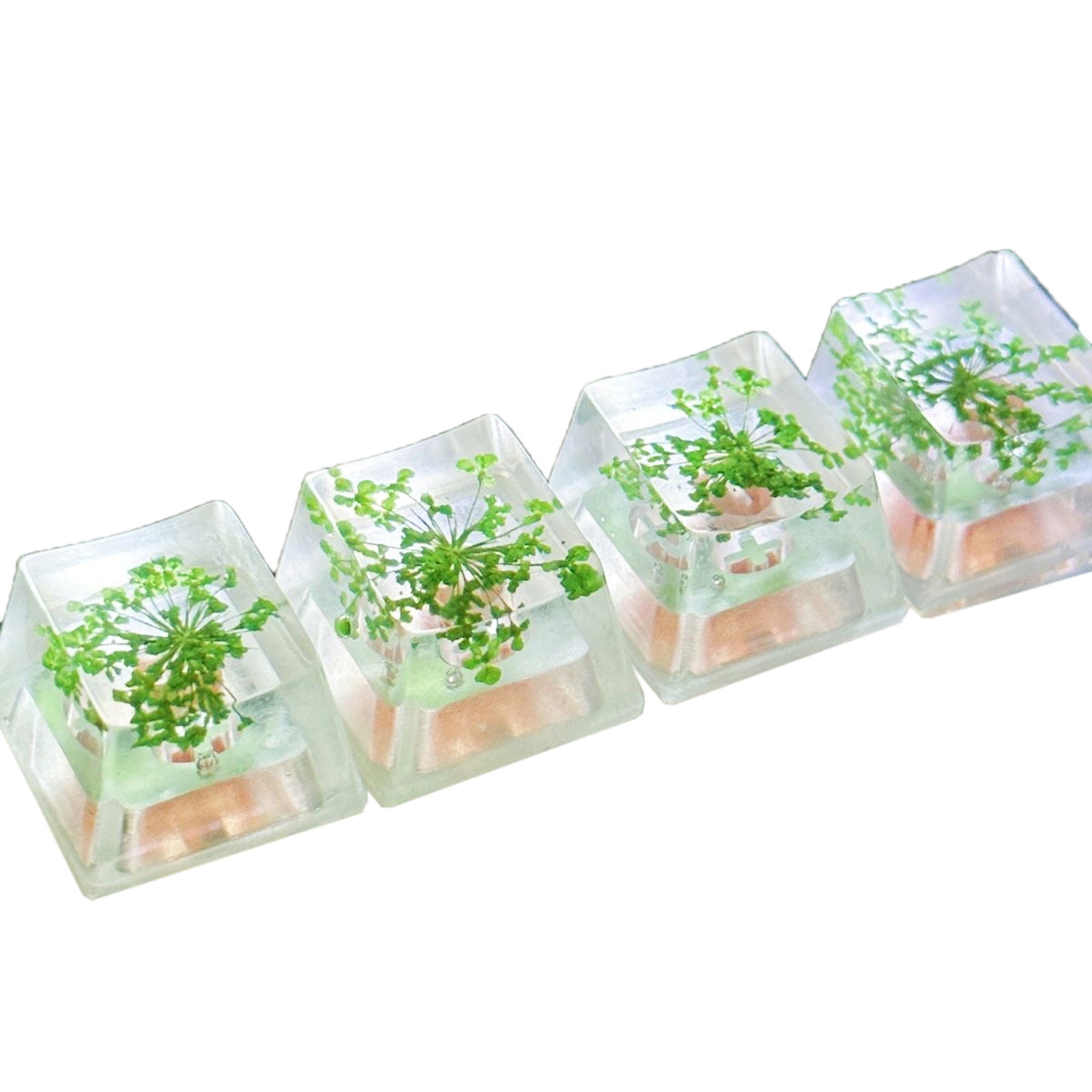 Mechanical Keyboards Resins Keycaps OEM Height Translucents Leaves Dry ...