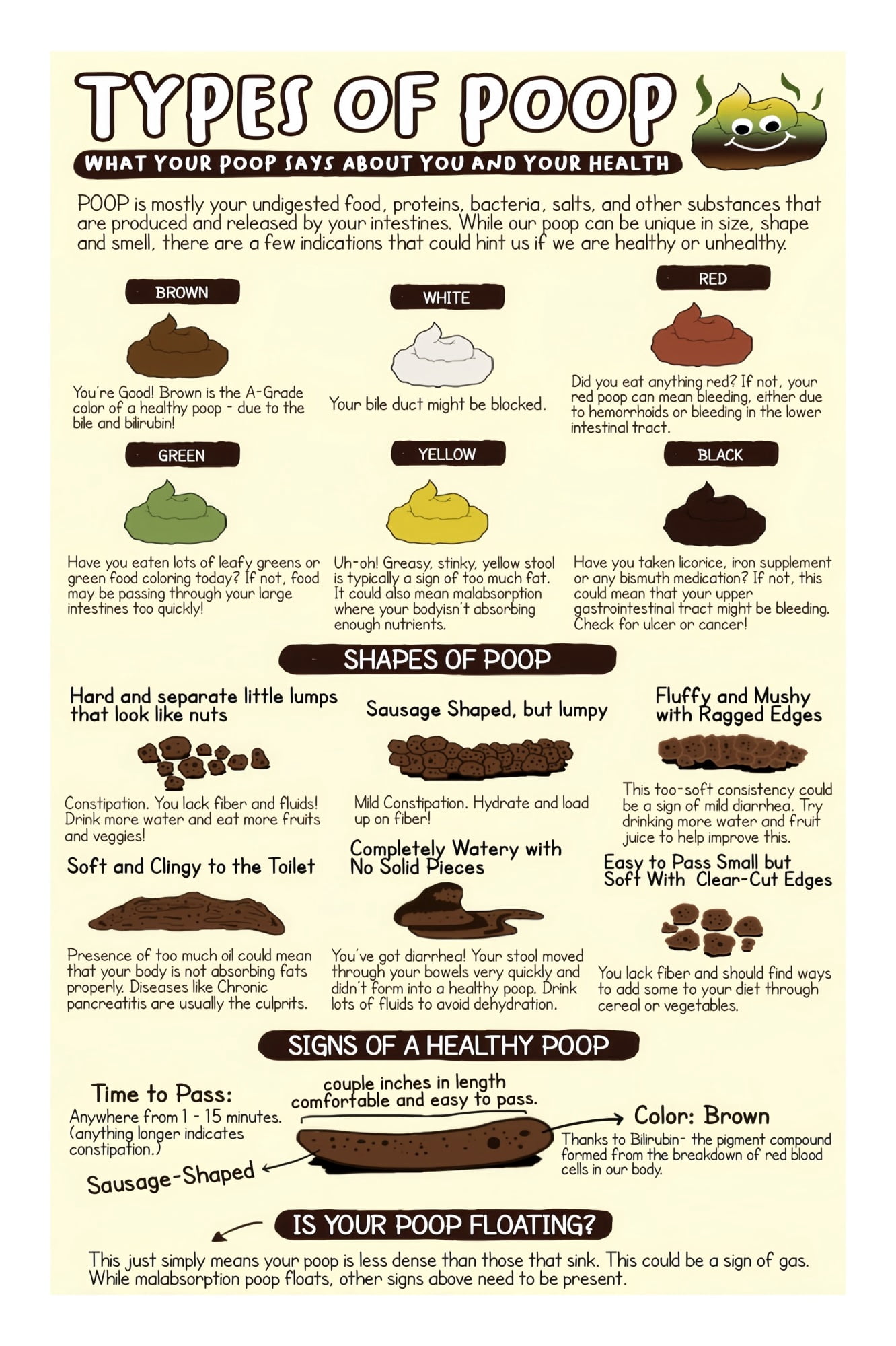 Medical Education Poster Bristol Stool Form Scale Laminated Chart ...
