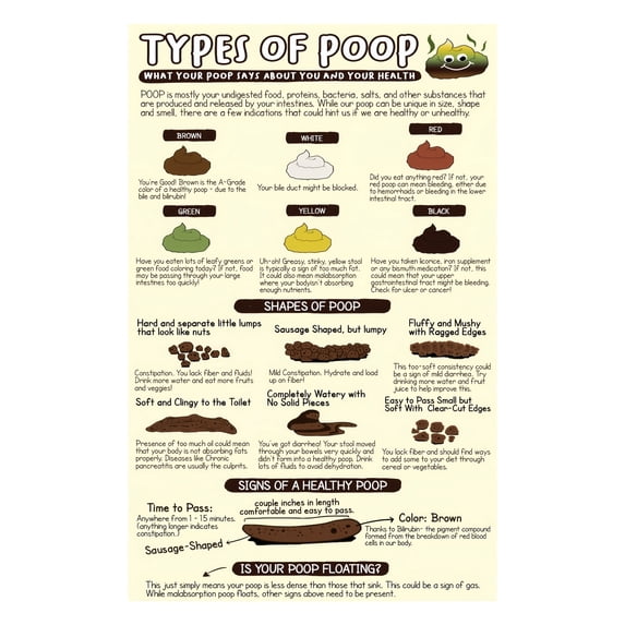 Medical Education Poster Bristol Stool Form Scale Laminated Chart ...