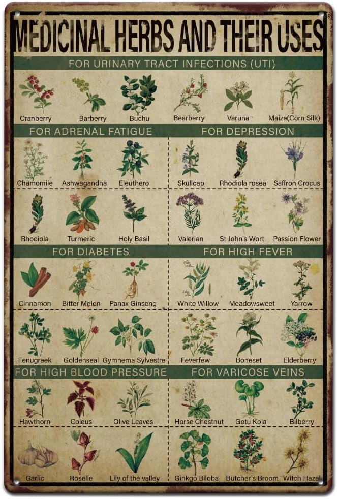 Medicinal Herbs And Their Uses Tin Sign Herbal Remedy Metal Tin Signs ...