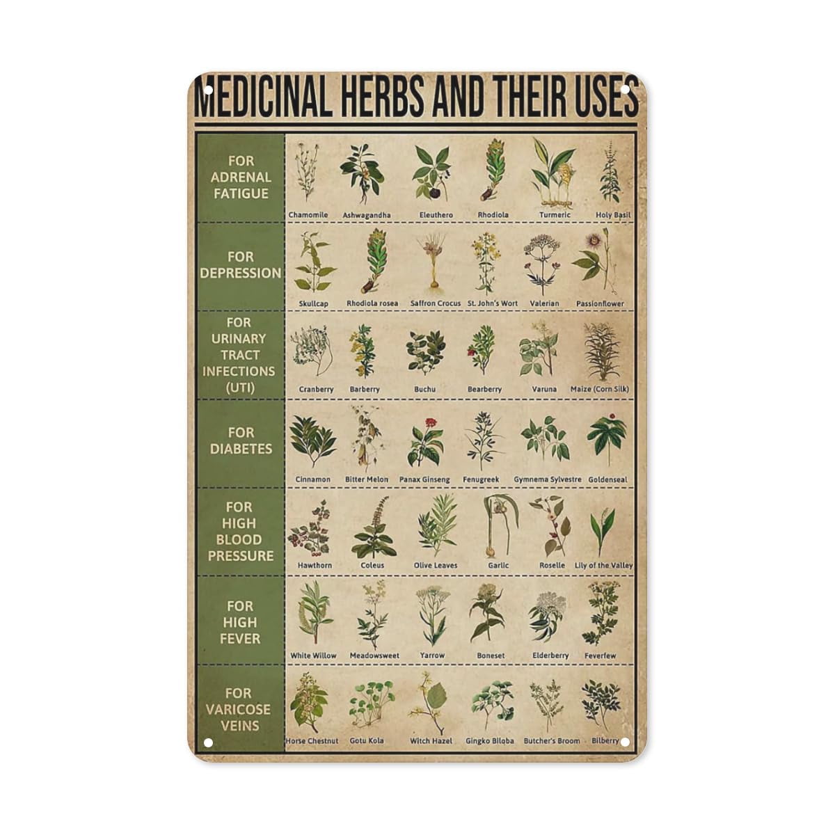 Medicinal Herbs and Their Uses Posters Metal Signs Wall Decor Room ...