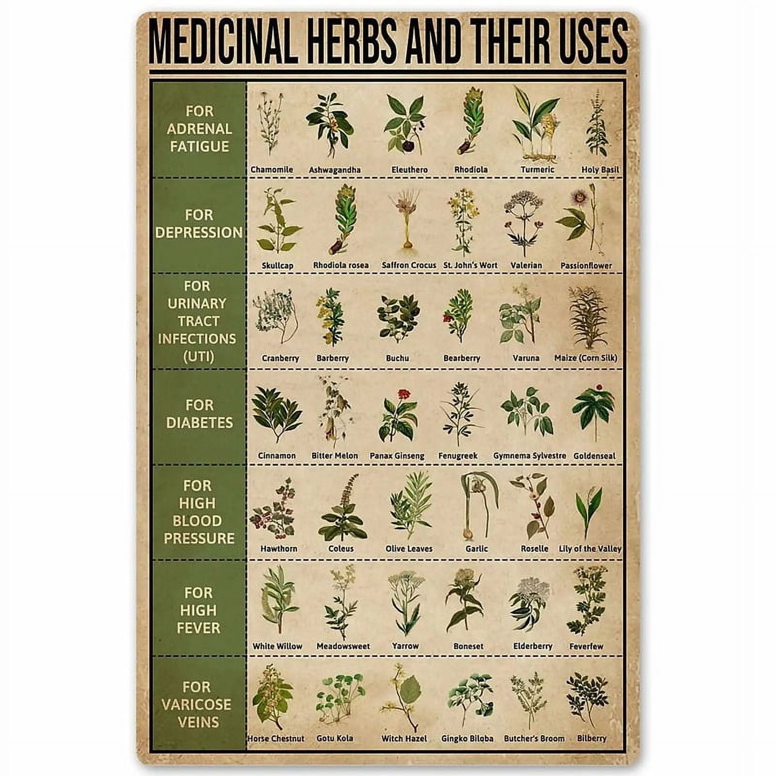 Medicinal Herbs and Their Uses Posters Metal Signs Wall Decor Room ...
