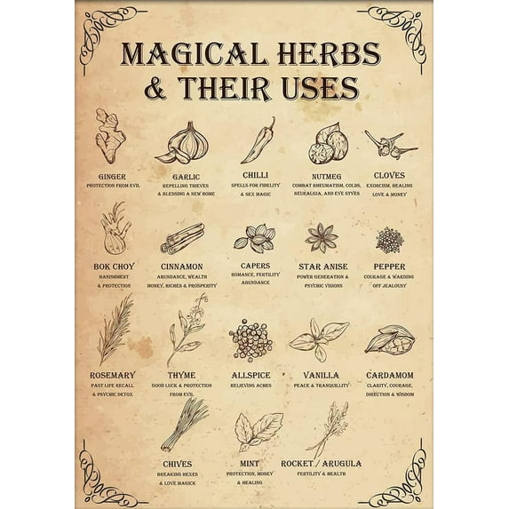 Medicinal Kitchen Witch Decor Kitchen Wall Art Sign Aluminium Signs For ...