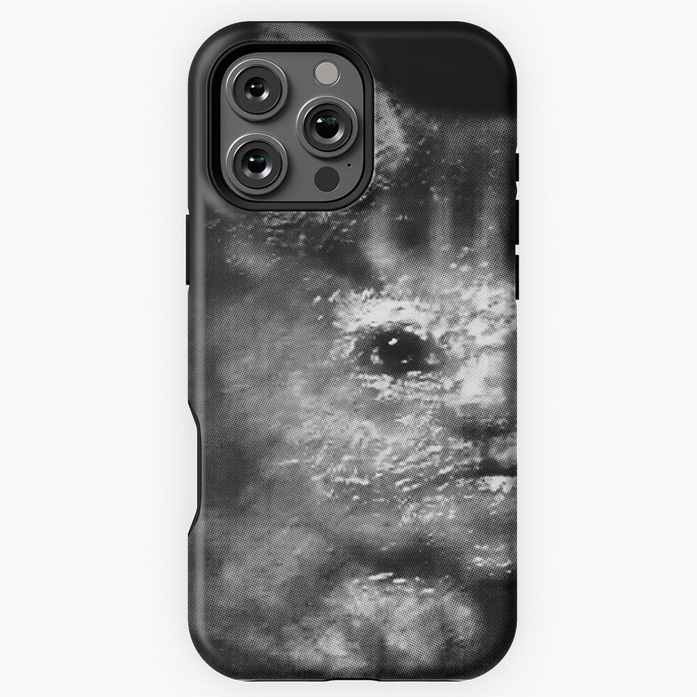 Medieval Cursed Cat Meme Funny Paint iPhone Case 11 12 13 14 15 16 17 ...