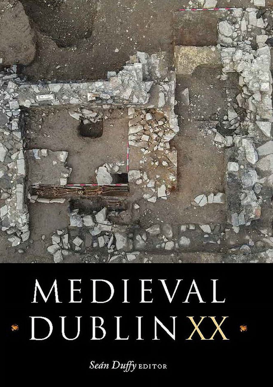 Medieval Dublin Medieval Dublin XX: Volume 20, (Hardcover) - Walmart.com