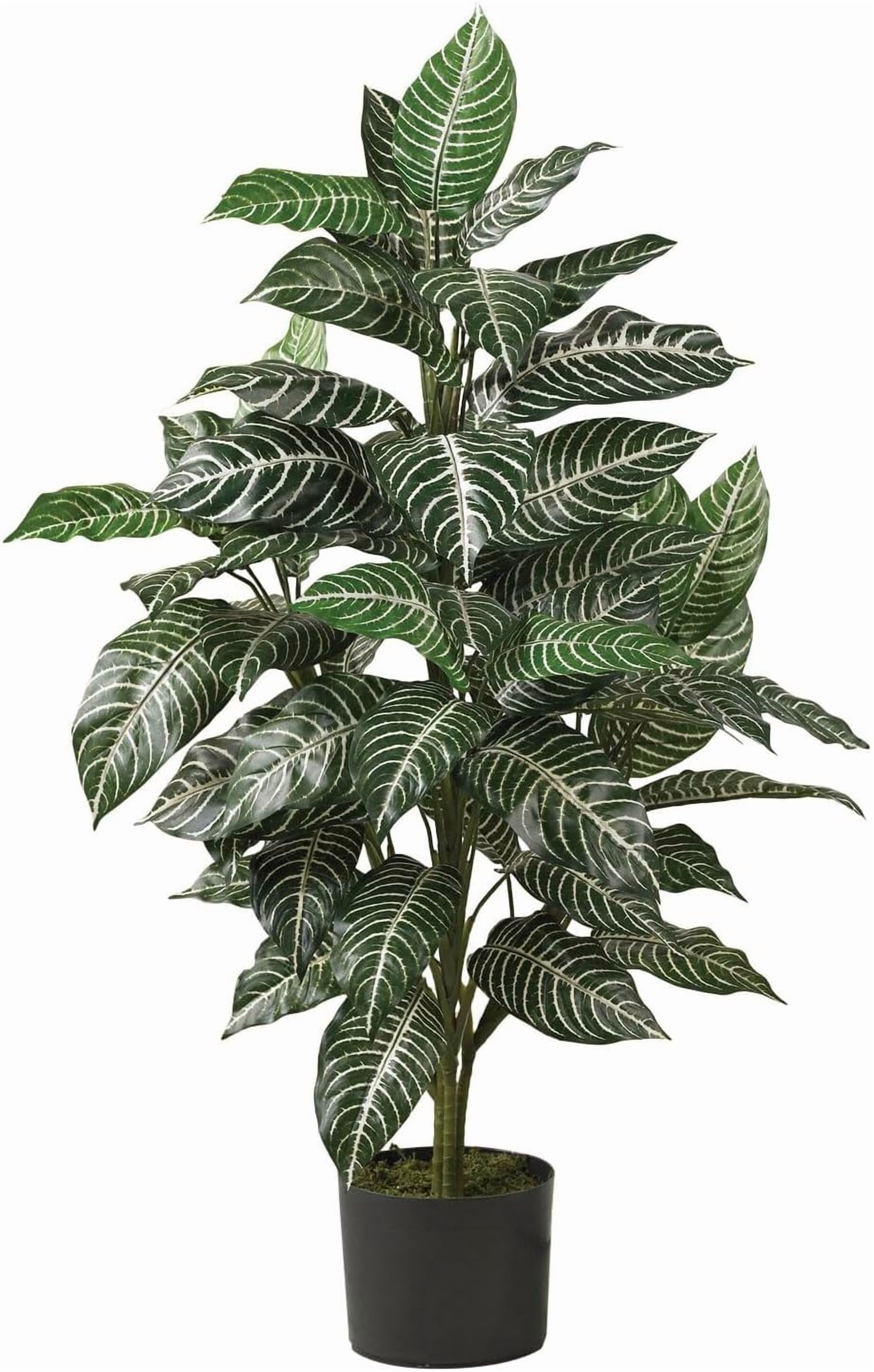 Medieval Majesty 3 Ft. Zebra Silk Plant, 20" W x 24" D x 36" H ...