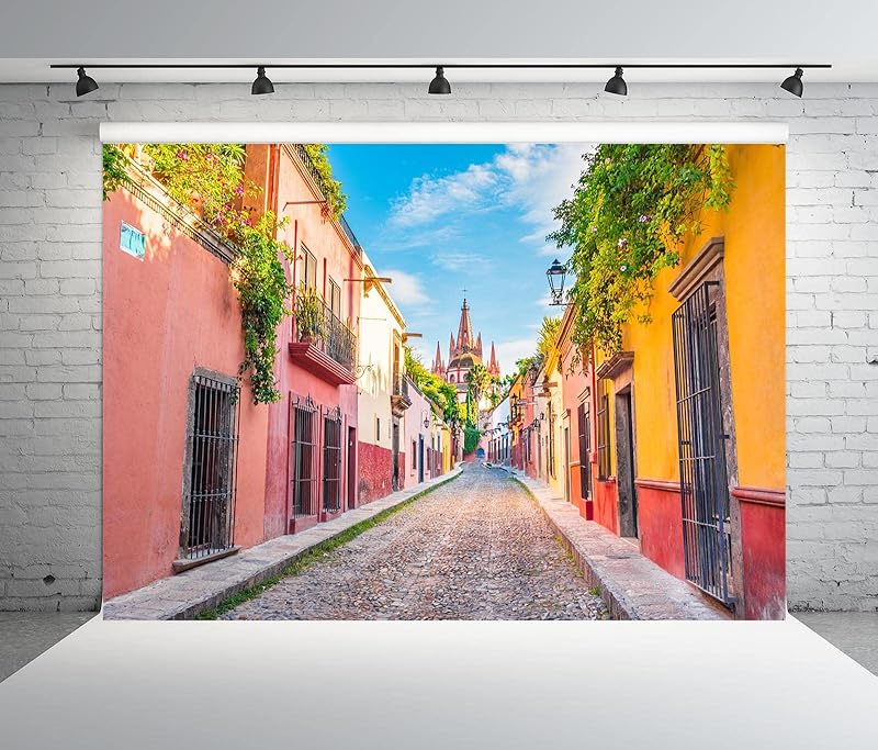 Medieval Town Street Backdrop Colorful Houses of Mexico Village ...