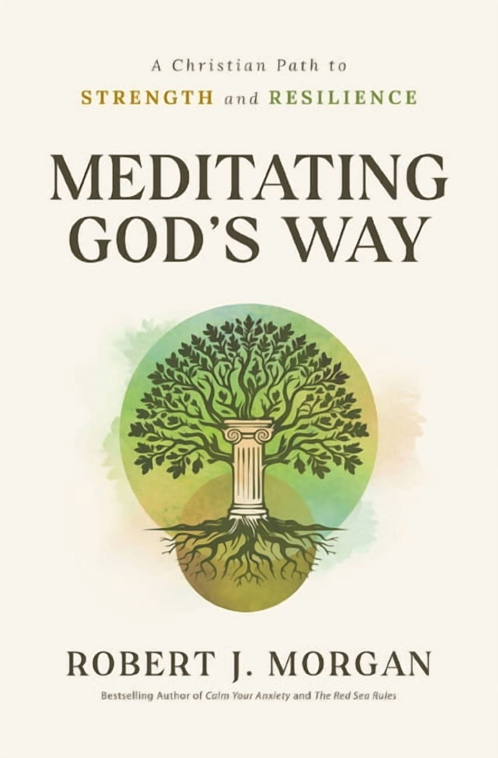 Meditating God's Way: A Christian Path to Strength and Resilience ...