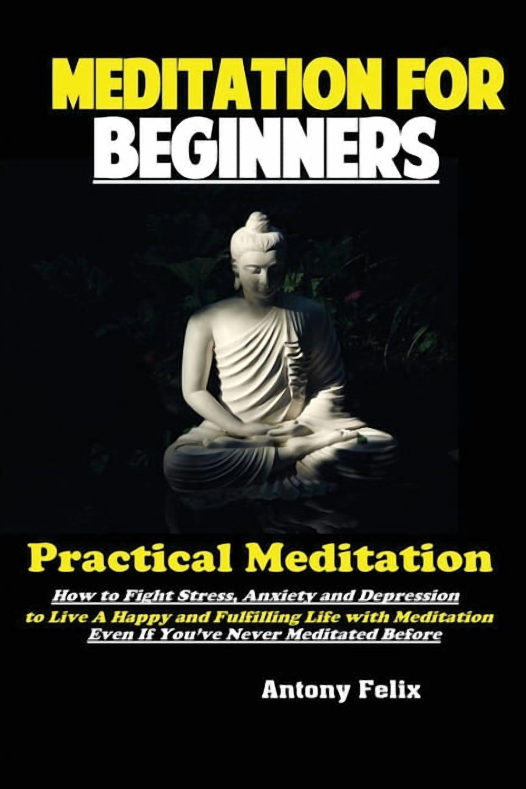 Meditation For Beginners: Practical Meditation; How to Fight Stress ...