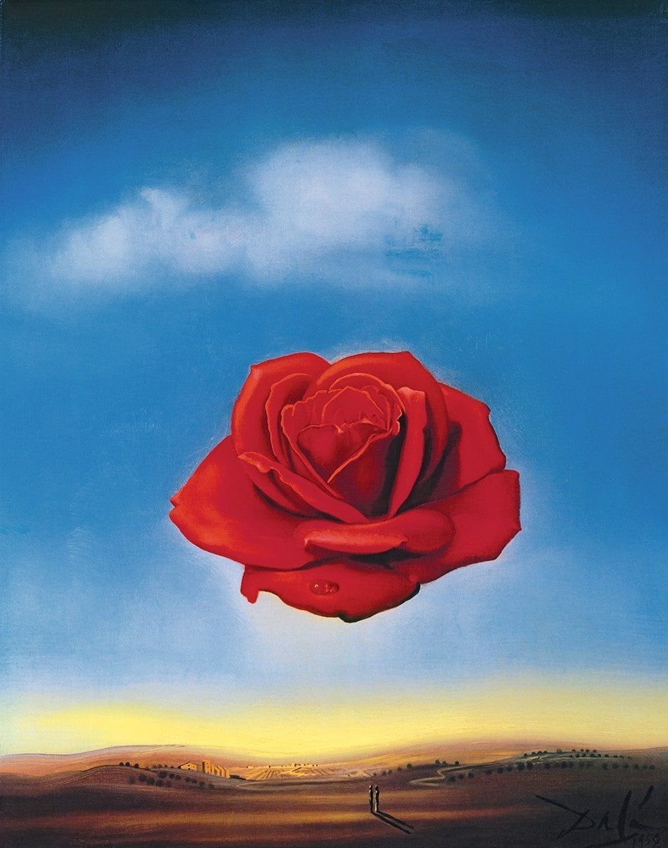 Meditative Rose by Salvador Dali - Art Print/Poster - Walmart.com