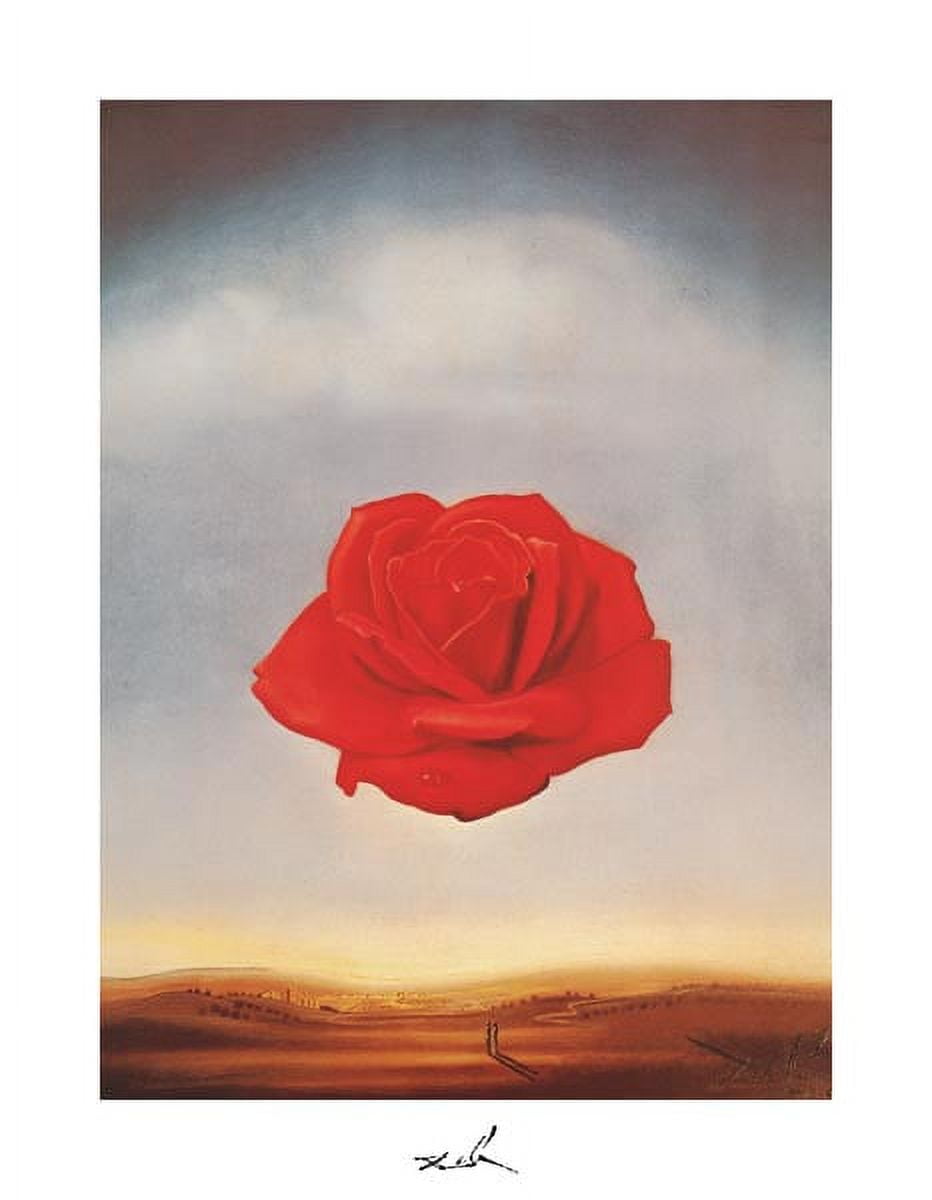 Meditative Rose, c.1958 Laminated Poster by Salvador Dali (11 x 14 ...