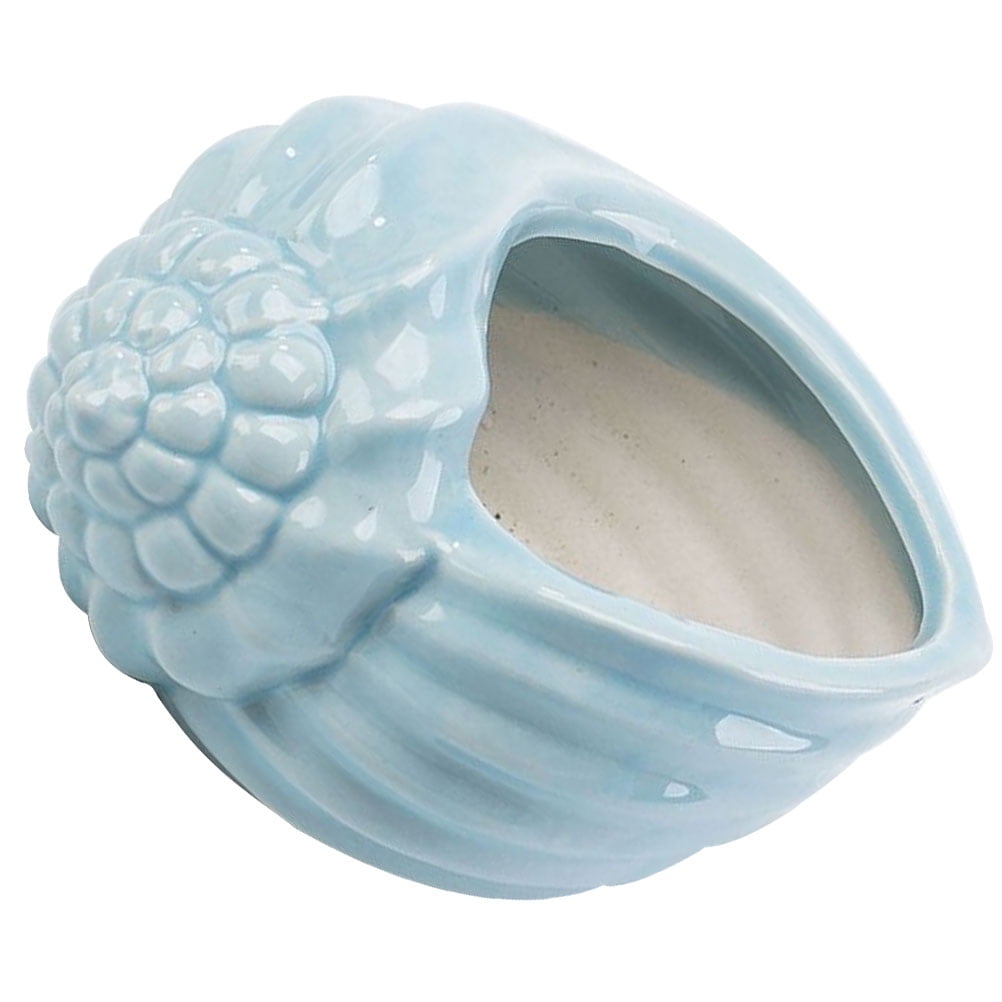 Mediterranean Planter Conch Shaped Flowerpot Chic - Walmart.com