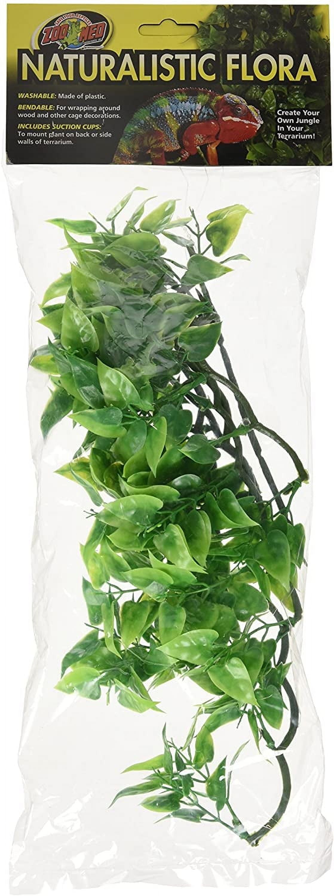 Zoo Med Naturalistic Flora Mexican Phyllo Plant for Reptiles - Walmart.com