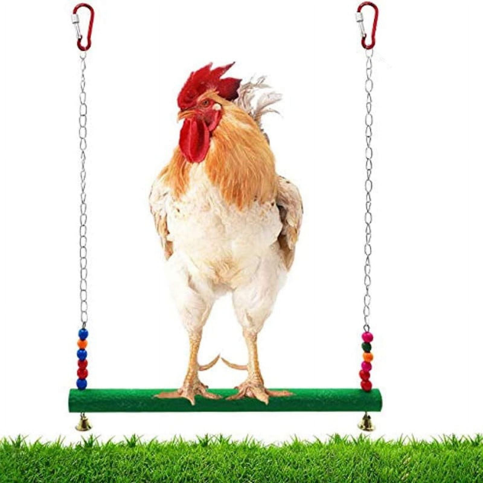 Medium And Large Parrot Swing For Suspension Bridge Ladder Chicken ...