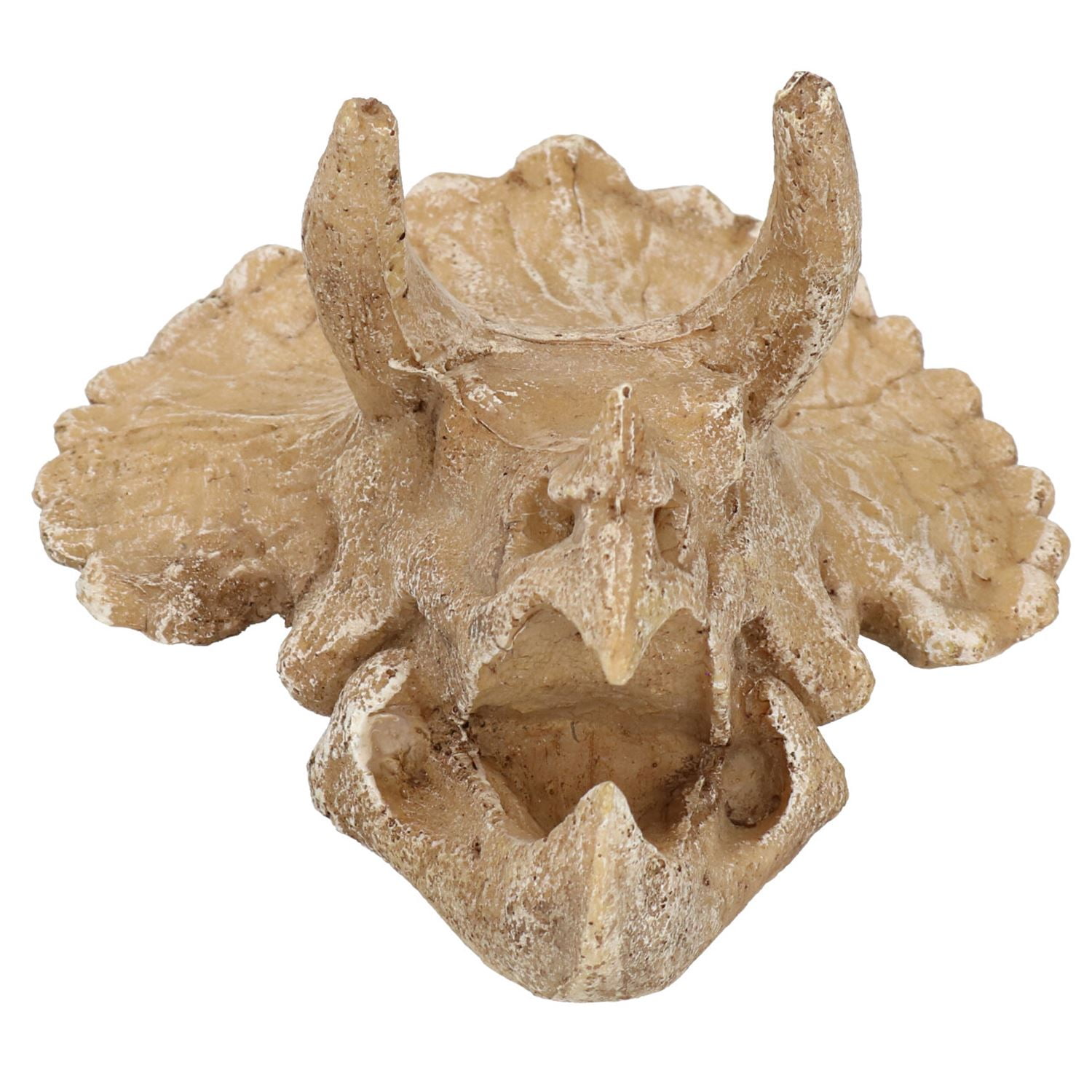 Medium Aquatic Aquarium Triceratops Skull Head Fish Tank Ornament ...