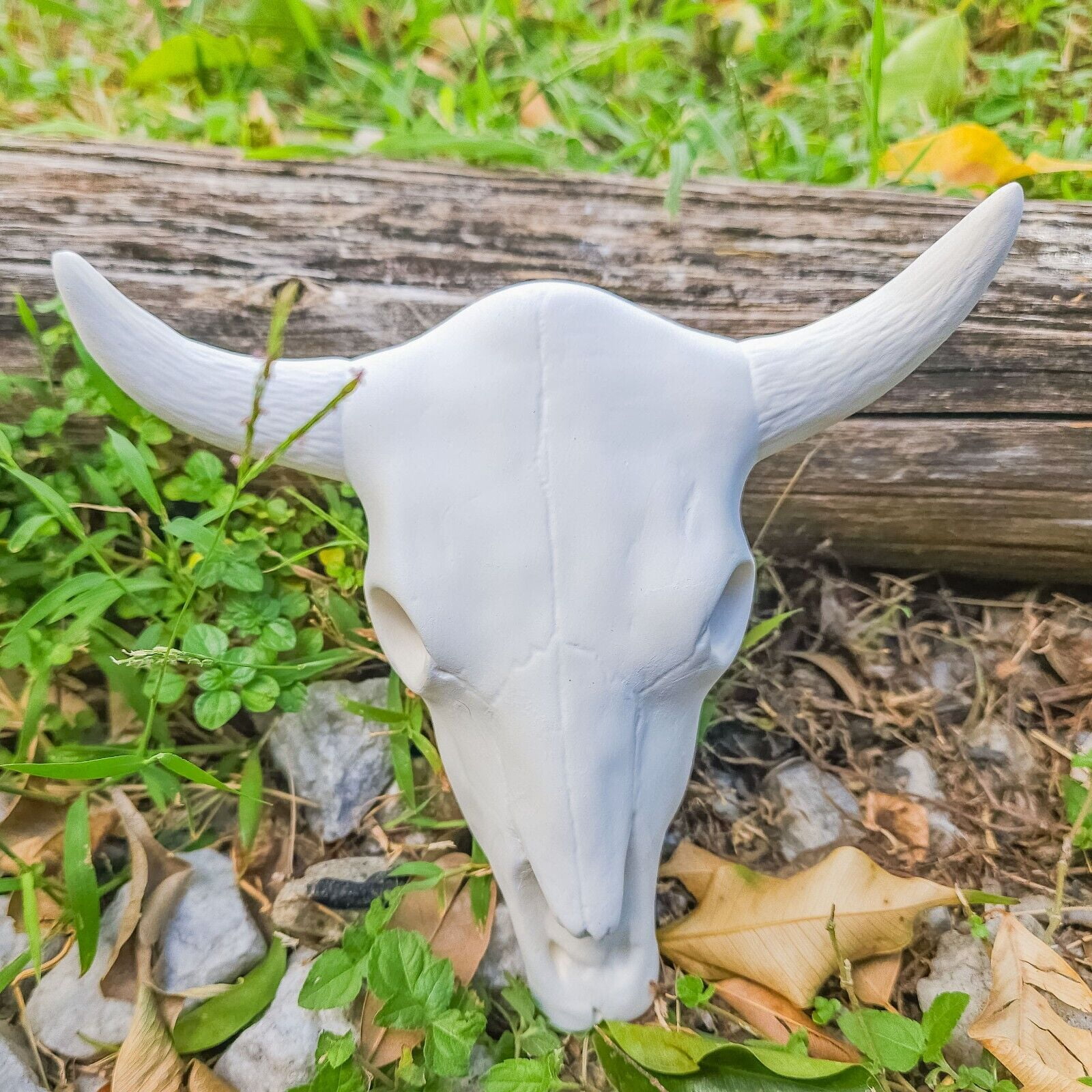 Medium Bull Skull 6" Ceramic Bisque Ready To Paint Pottery - Walmart.com