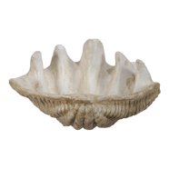 Giant 22" Clam Shell Tridacna Gigas Clamshell White and Gray Seashell ...