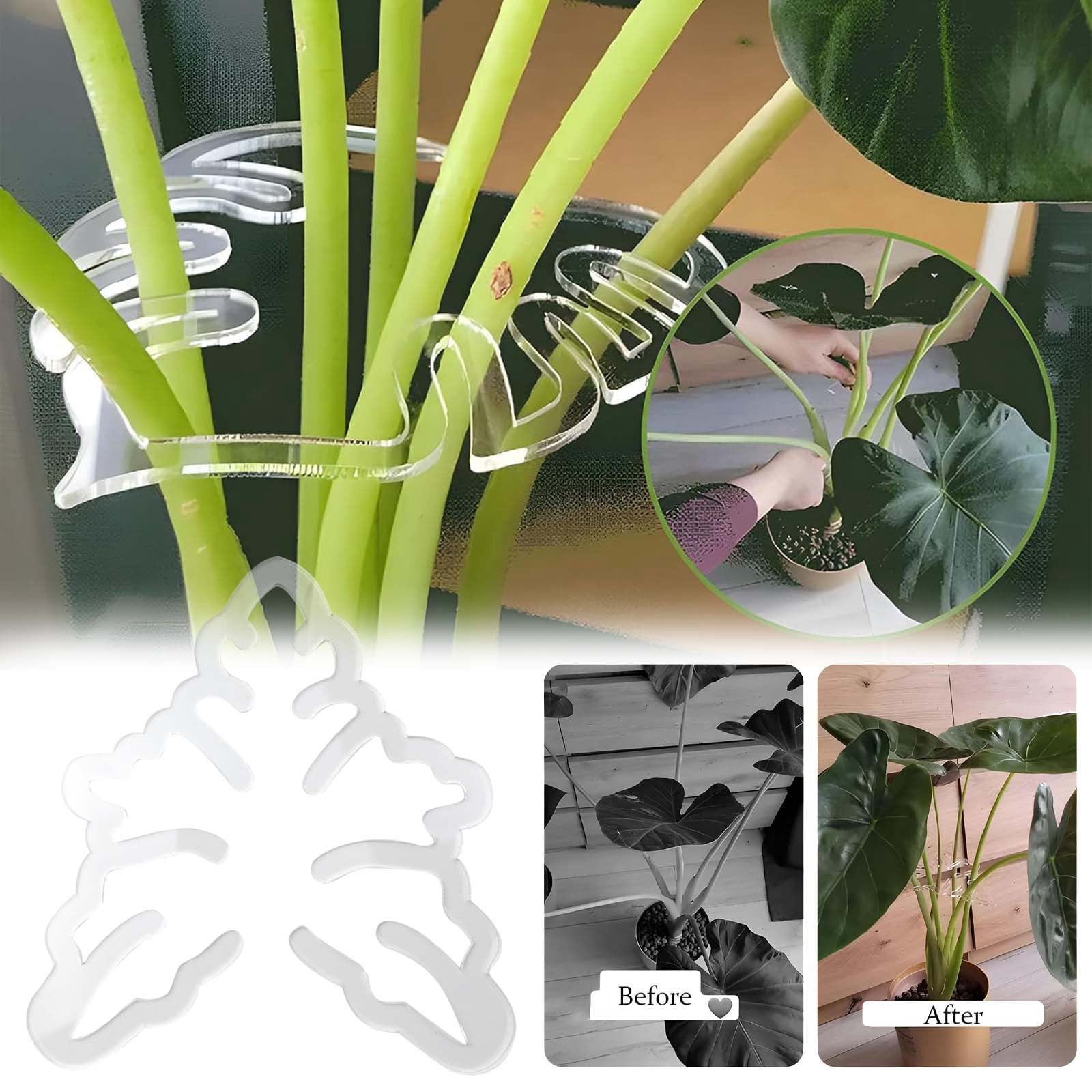 Medium Paper Clips Flower Stem Fixer Turtle Back Pattern Fixer Flower ...