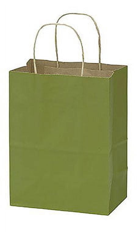 SSWBasics Medium Rain Forest Green Paper Shopping Bags - 8 ¼”L x 4 ¾”D ...
