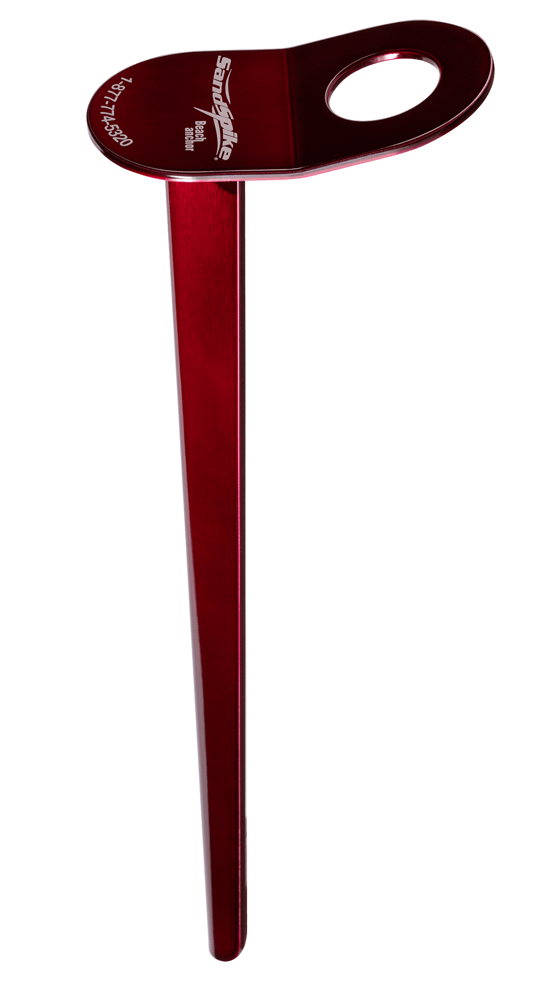 Medium Sandspike Burgandy - Walmart.com