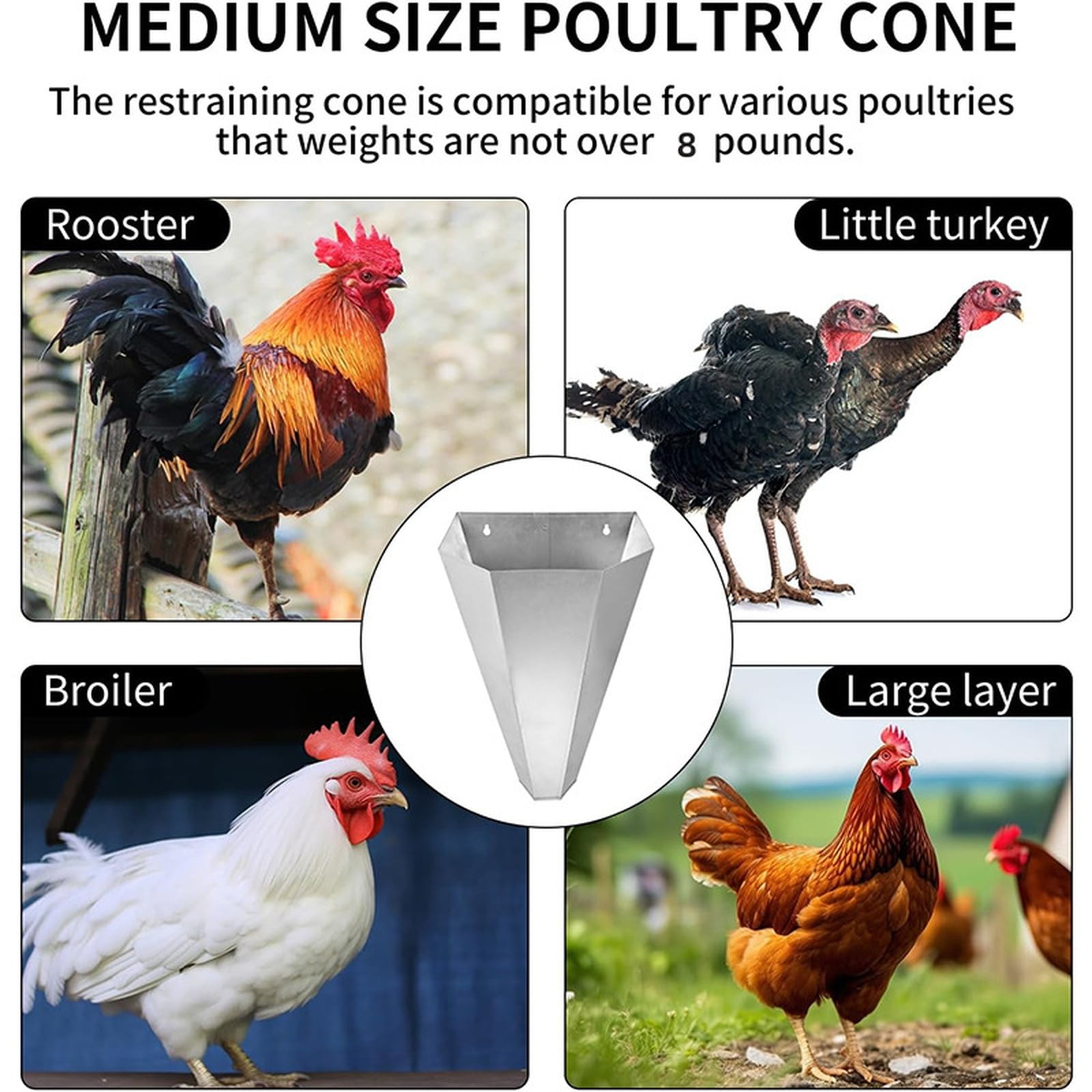Medium Size Chicken Cone, 8lbs Galvanized Steel Poultry Restraining ...