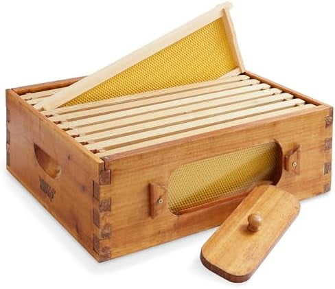 Medium Super Brood Box with Window, 100% Beeswax Coated Beehive Kit ...