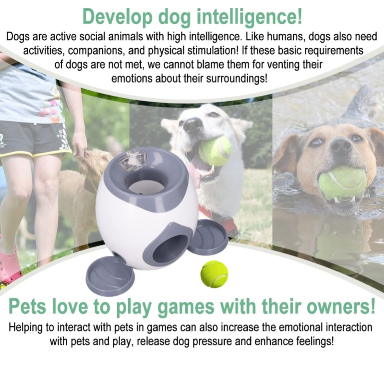 Medium-sized Interactive Dog Feeder with Exciting Tennis Ball Launcher ...