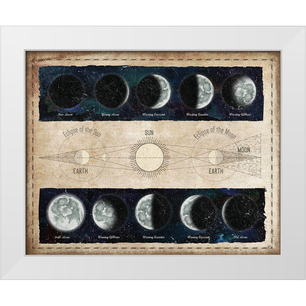 Medley, Elizabeth 24x20 White Modern Wood Framed Museum Art Print ...