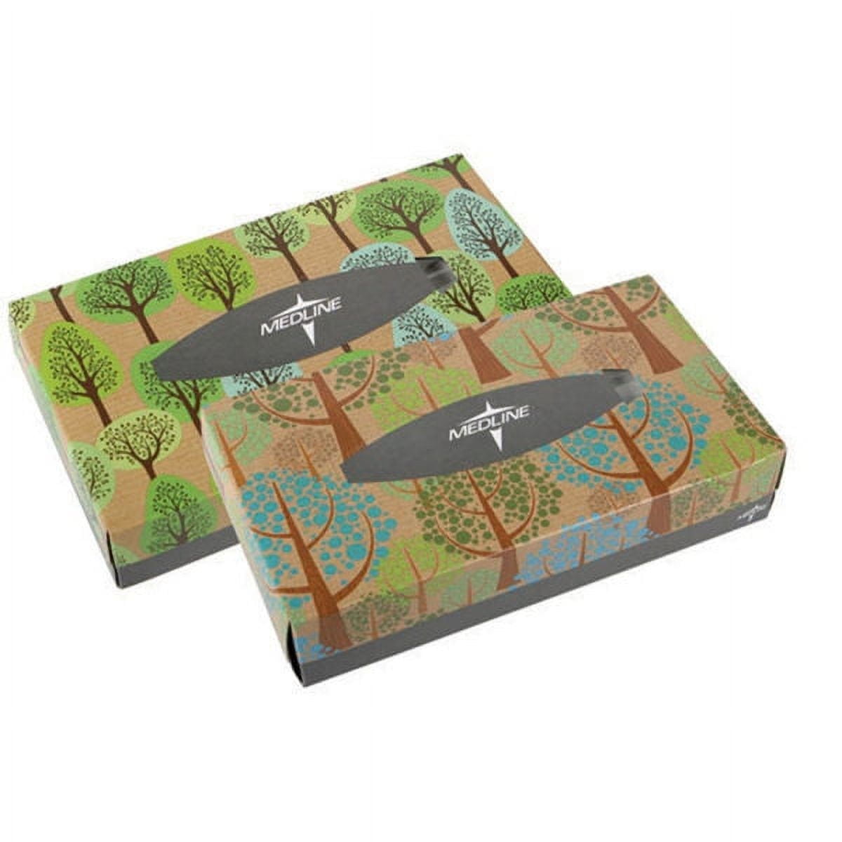 Medline 2-Ply Household Facial Tissues, 100% Recycled, 90 Sheets Per ...