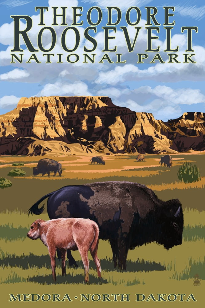 Medora, North Dakota, Theodore Roosevelt National Park, Bison and Calf ...