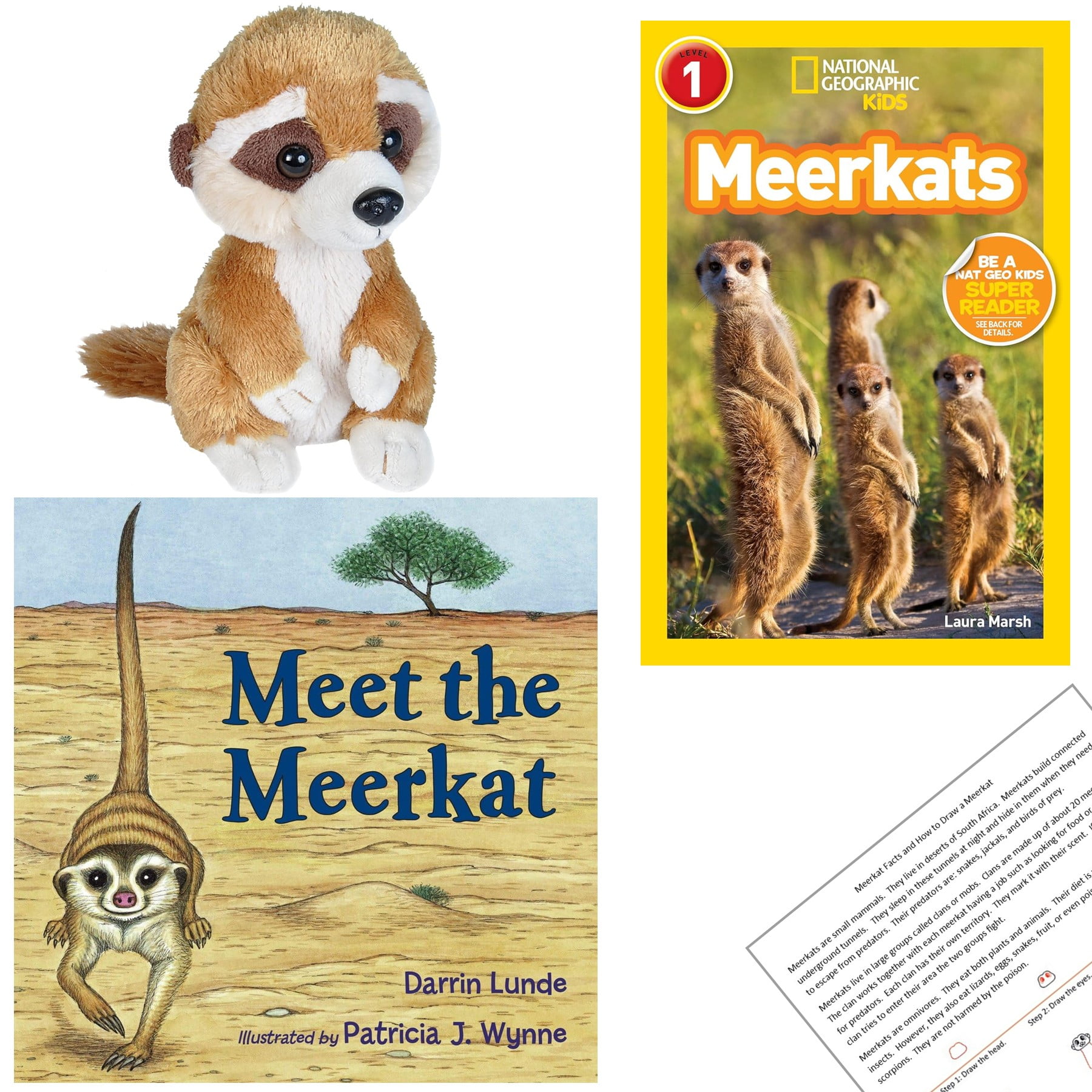 Meerkat STEAM Educational Gift Set with Meerkats Level 1 Reader ...