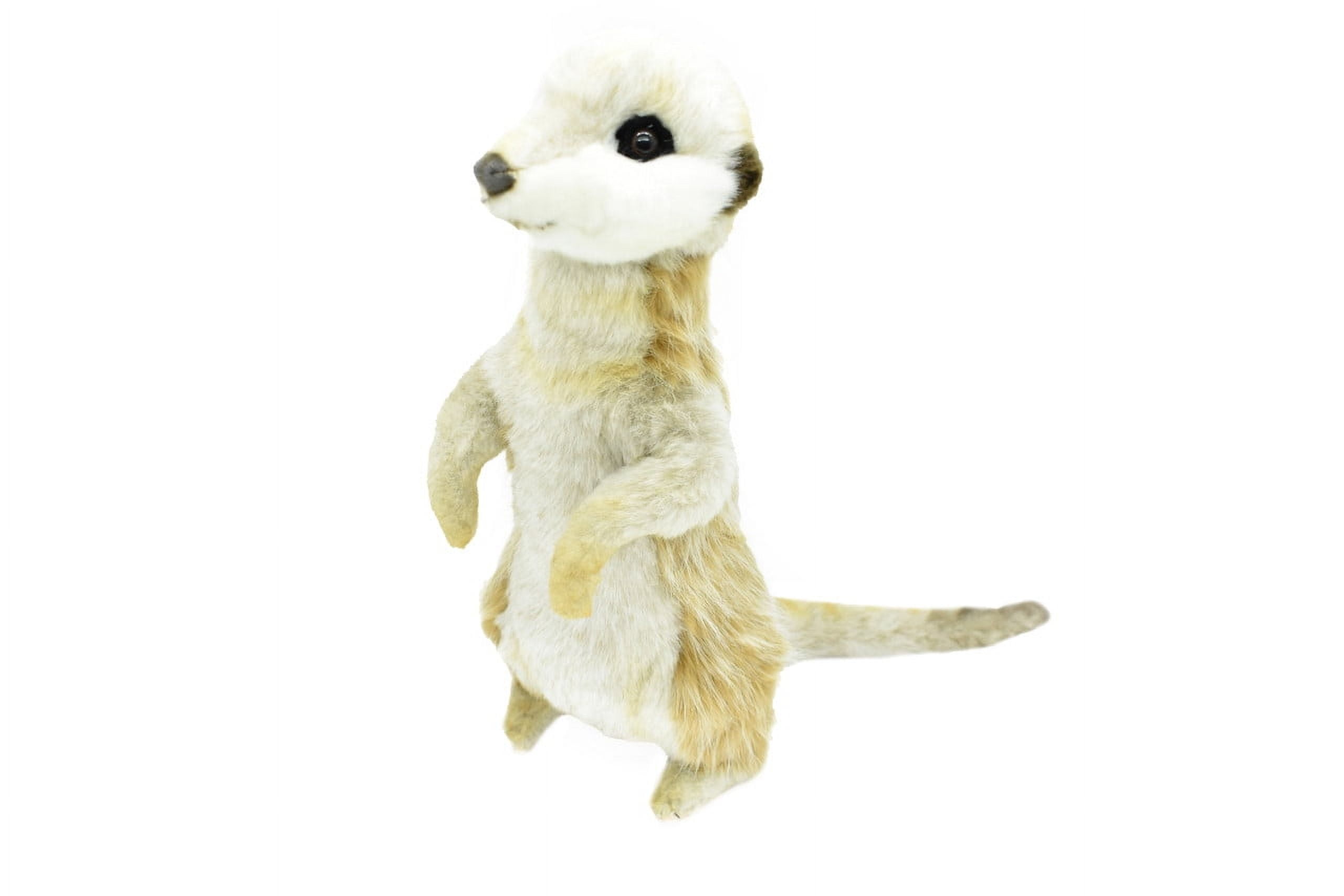 Meerkat, Sitting, Museum Quality, Stuffed Animal, Educational, Plush ...
