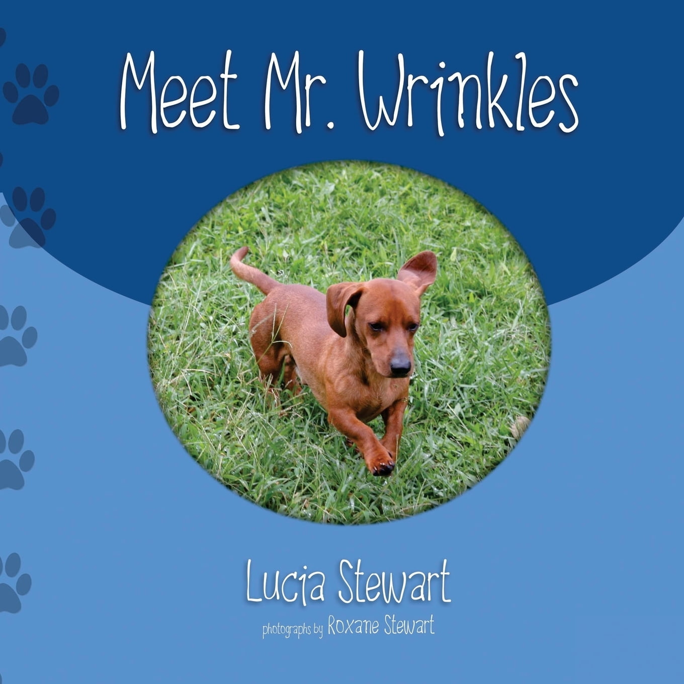 Meet Mr. Wrinkles - Walmart.com