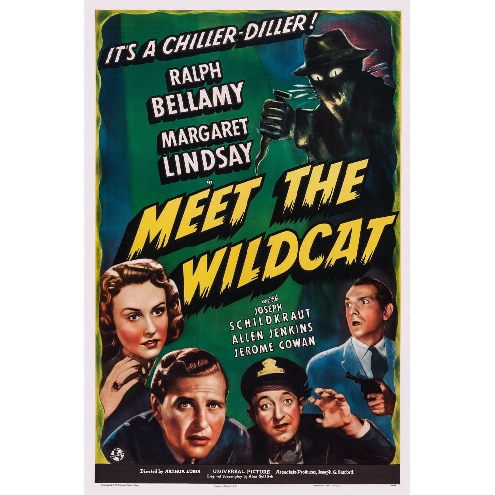 Meet The Wildcat U Movie Poster Masterprint - Walmart.com