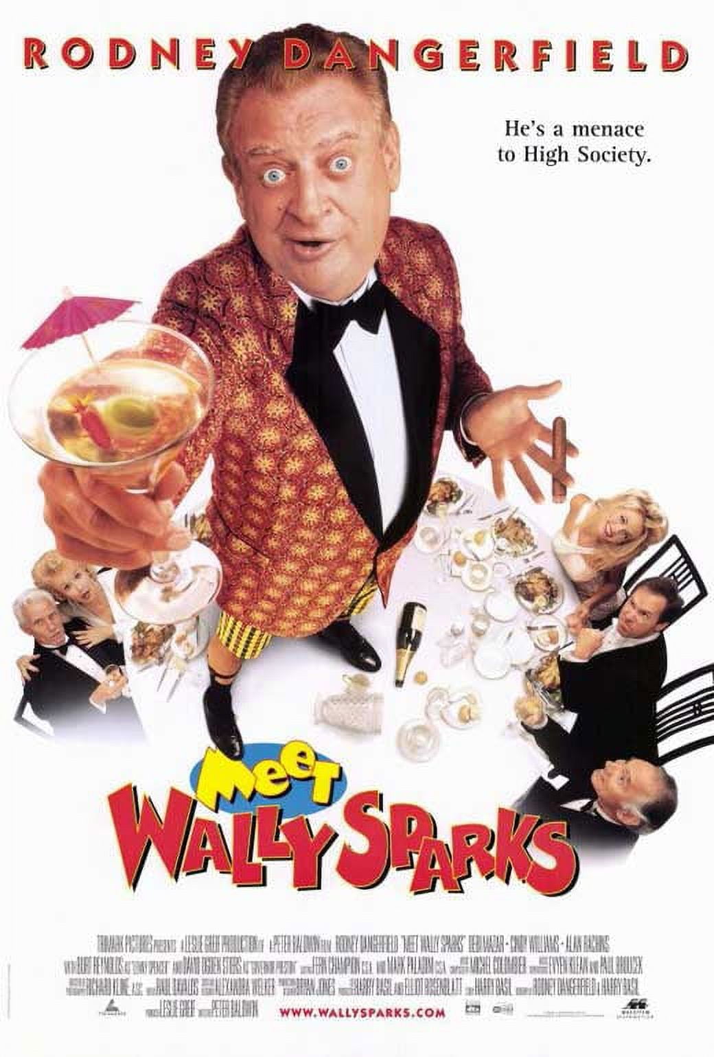 Meet Wally Sparks - movie POSTER (Style A) (27" x 40") (1996) - Walmart Business Supplies