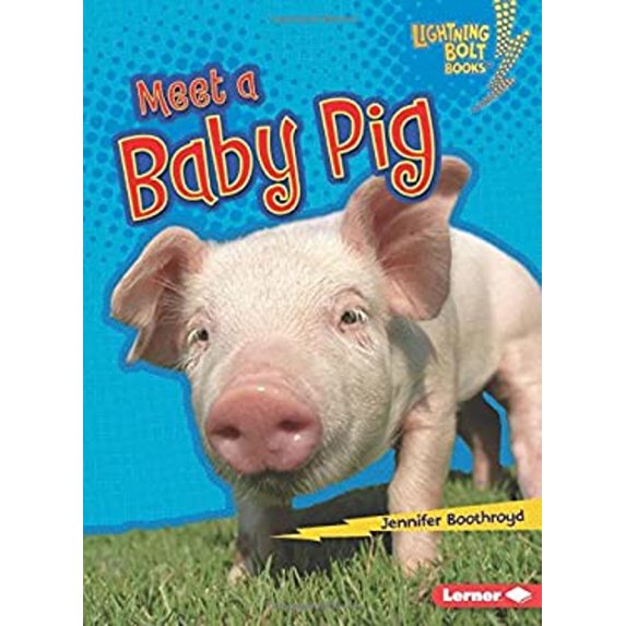 Pre-Owned Meet a Baby Pig (Hardcover) 9781512407990 - Walmart.com