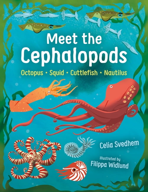 Meet the Cephalopods: Octopus, Squid, Cuttlefish, Nautilus, (Hardcover ...