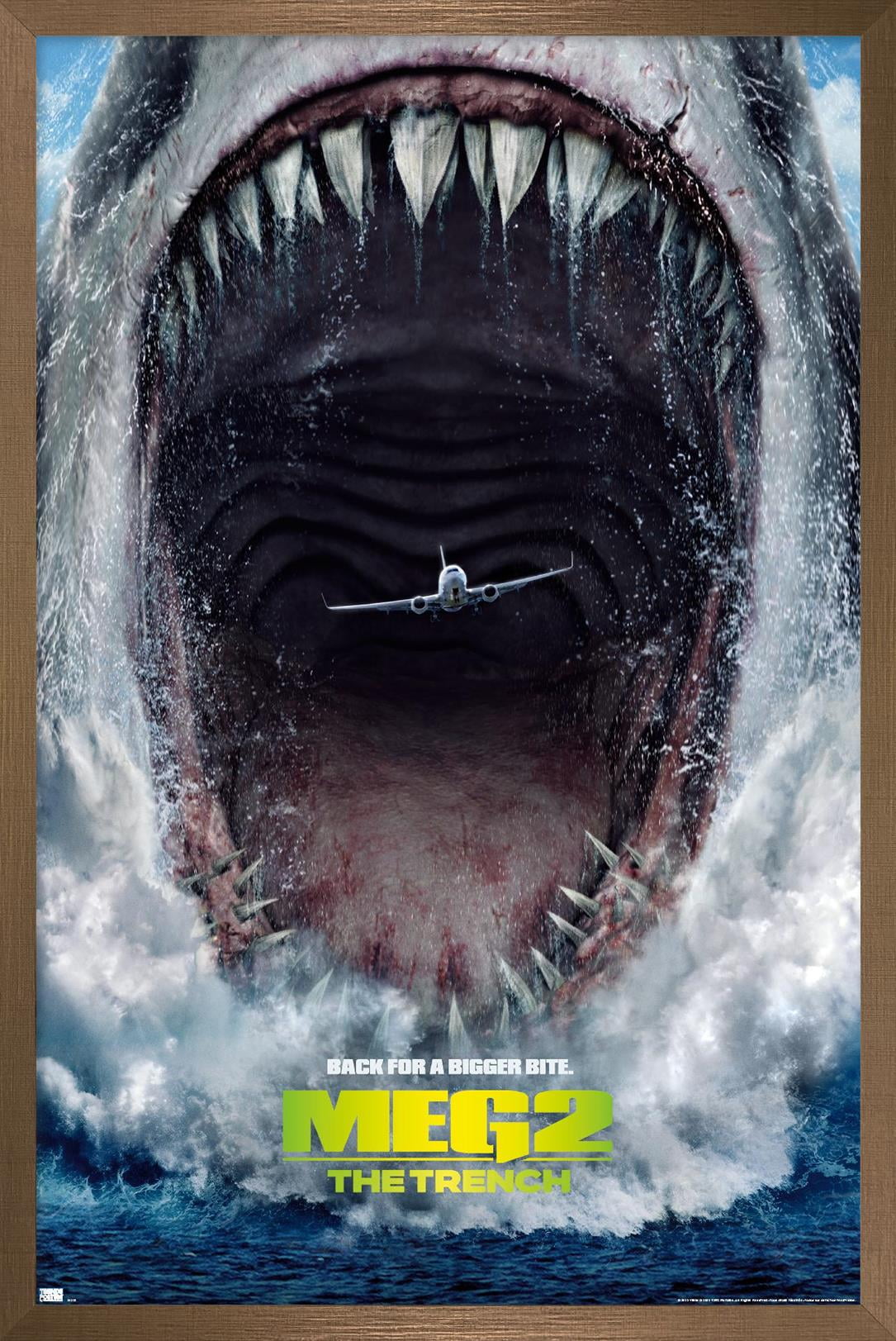 Meg 2: The Trench - Plane One Sheet Wall Poster, 22.375" x 34" Framed ...