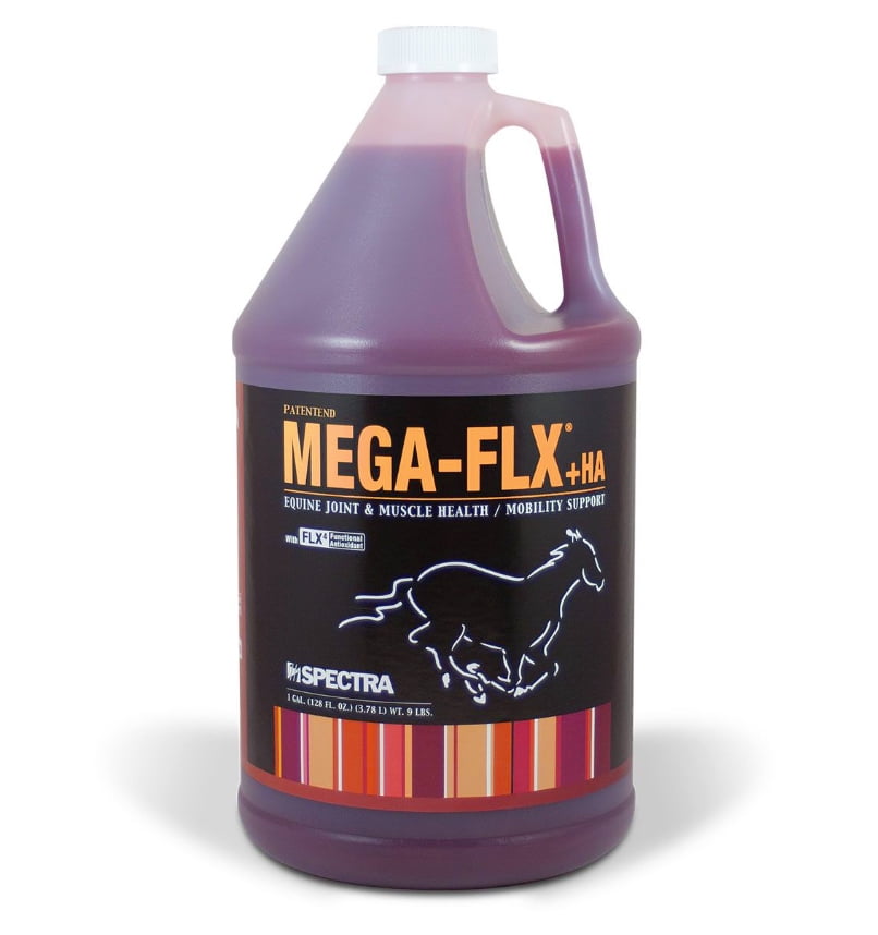 Mega-FLX + HA Sore Muscle & Joint Solution Gallon - Walmart Business ...