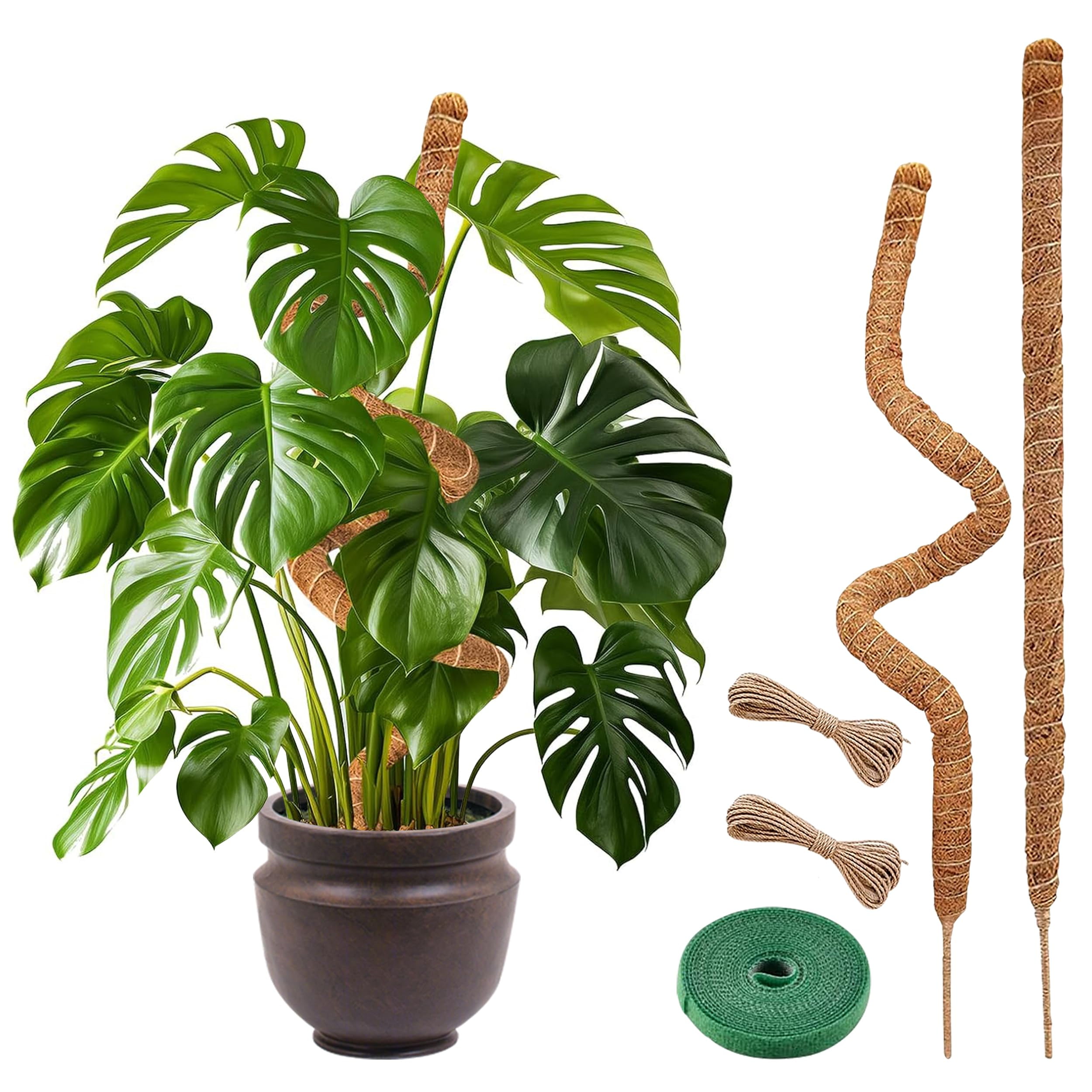 Mega Format Bendable Moss Pole for Plants, Monstera Moss Pole, Moss ...