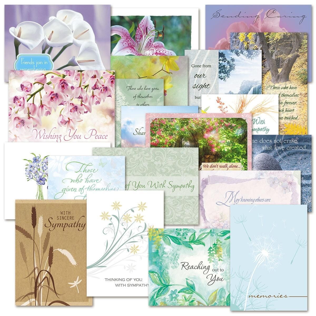 Current Sympathy Greeting Card Value Pack - Set of 40, 5" x 7 ...