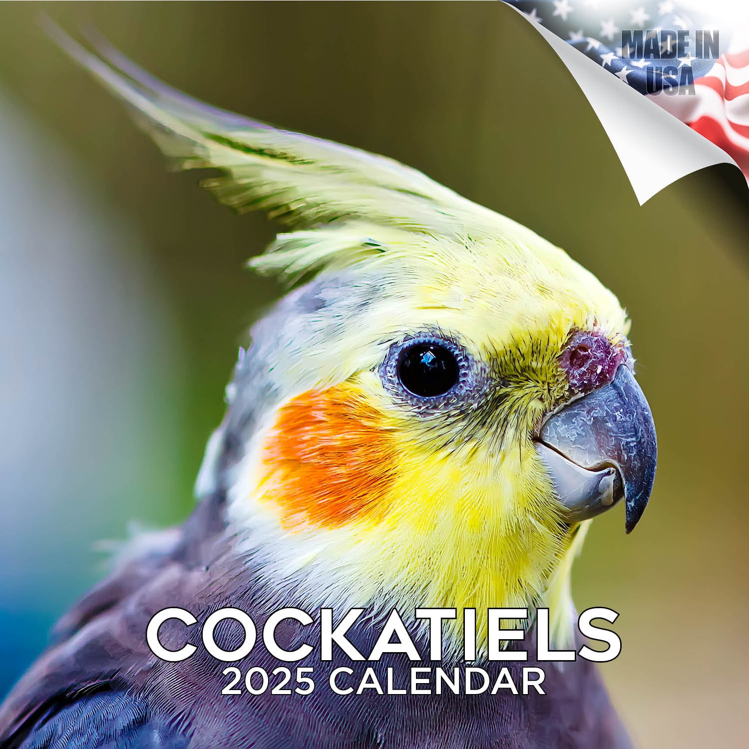 2024 2025 Cockatiels Calendar - Wildlife Monthly Wall Calendar - 12 x ...