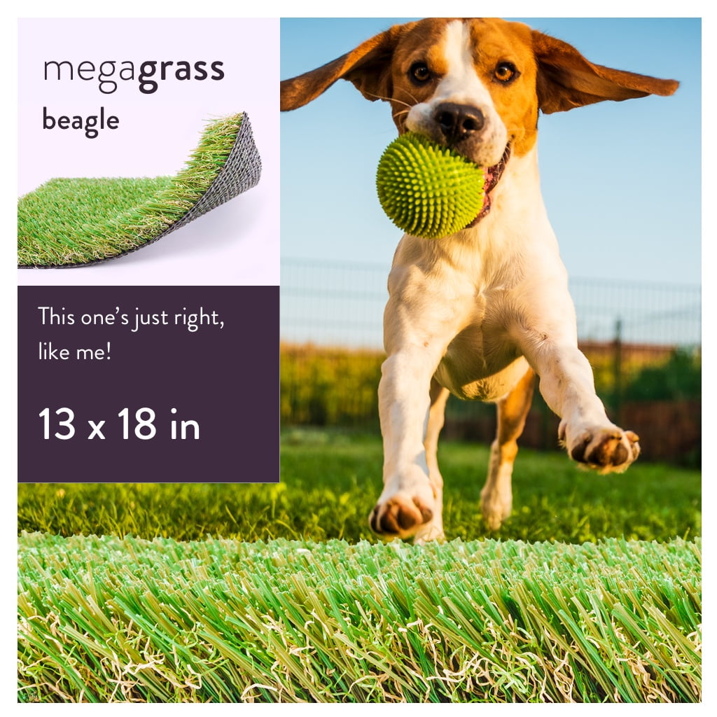 MegaGrass Beagle 12 x 18 in Artificial Grass for Medium Pet Dog Potty ...