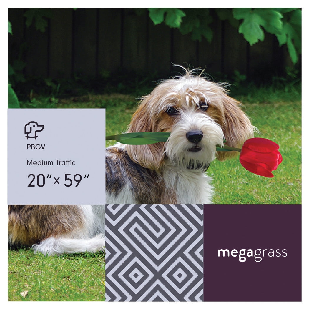 MegaGrass PBGV 20 x 59 in Artificial Grass for Medium Pet Dog Potty ...