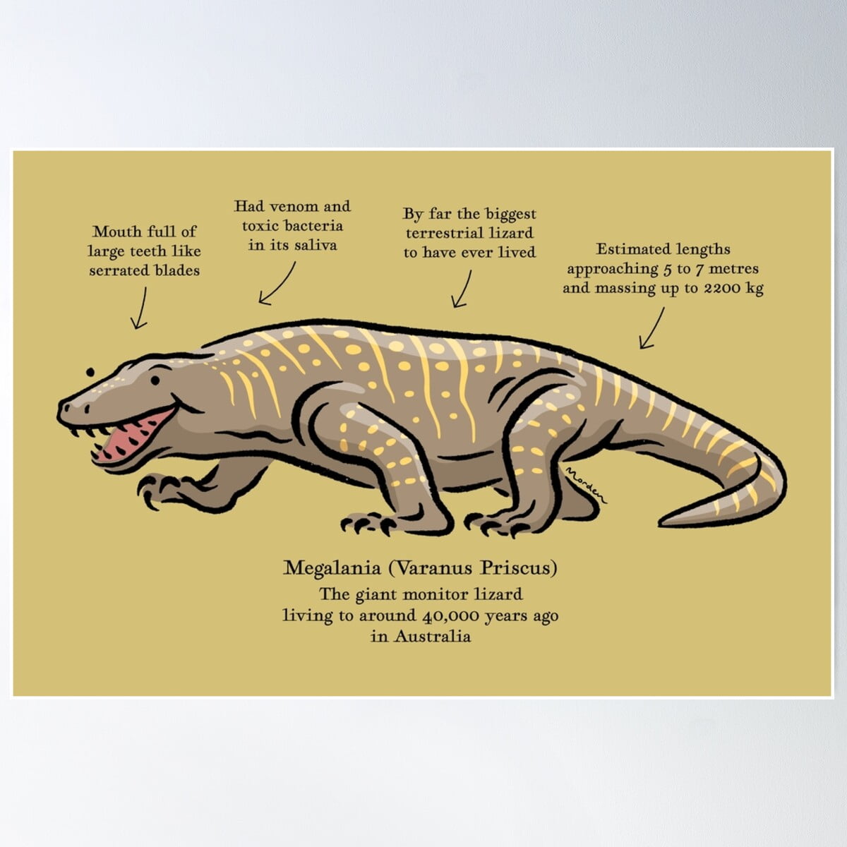 Megalania The Prehistoric Giant Lizard Poster Wall Art, Modern Wall ...