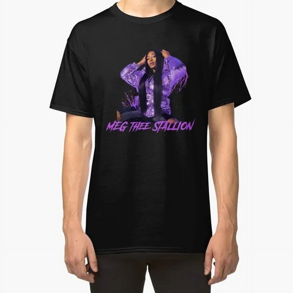 Megan Thee Stallion Shirt Megan Thee Stallion Tshirt Megan Stallion Fan ...