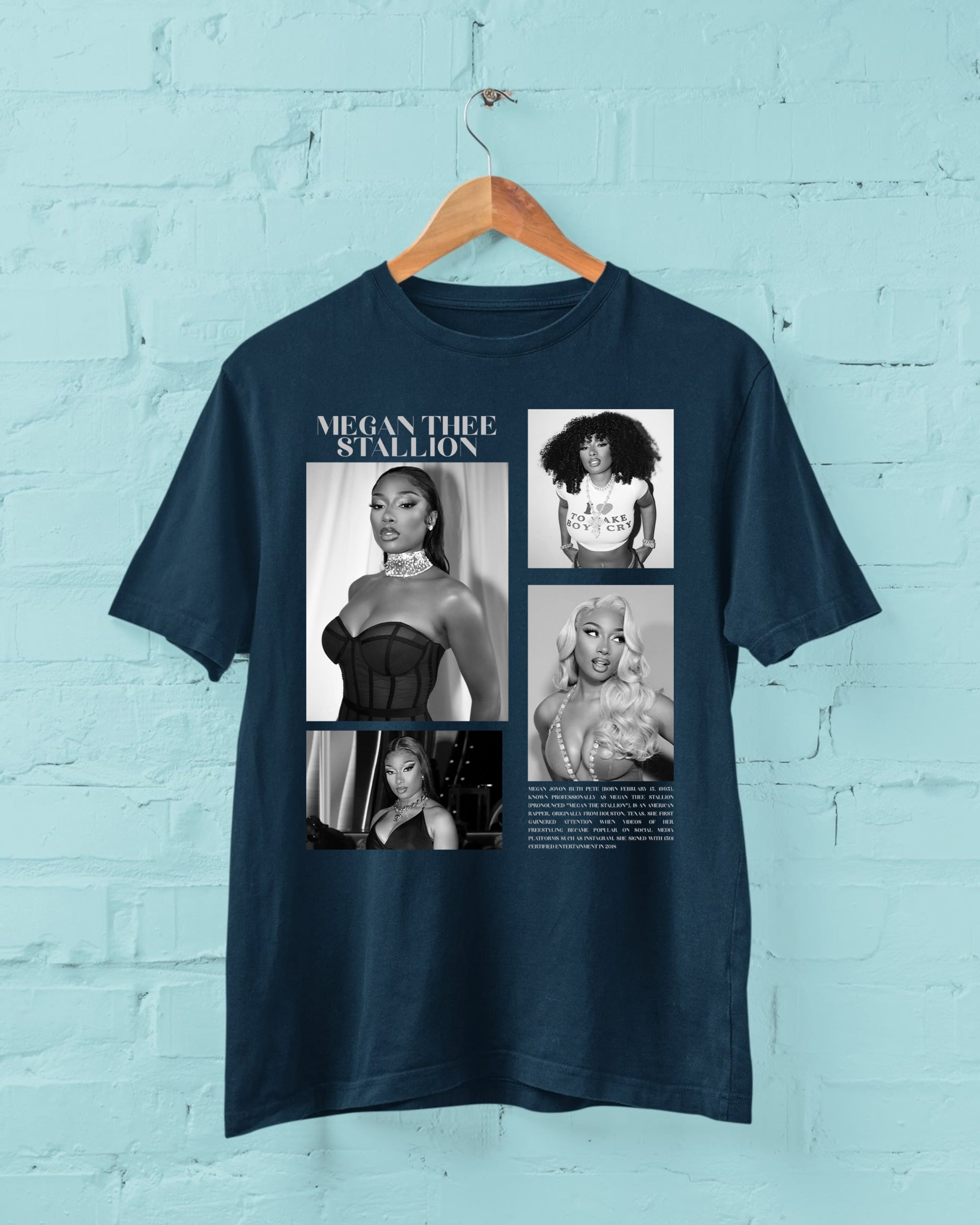 Megan Thee Stallion Tee Shirt, Megan Thee Stallion 90s Tour Sweatshirt ...