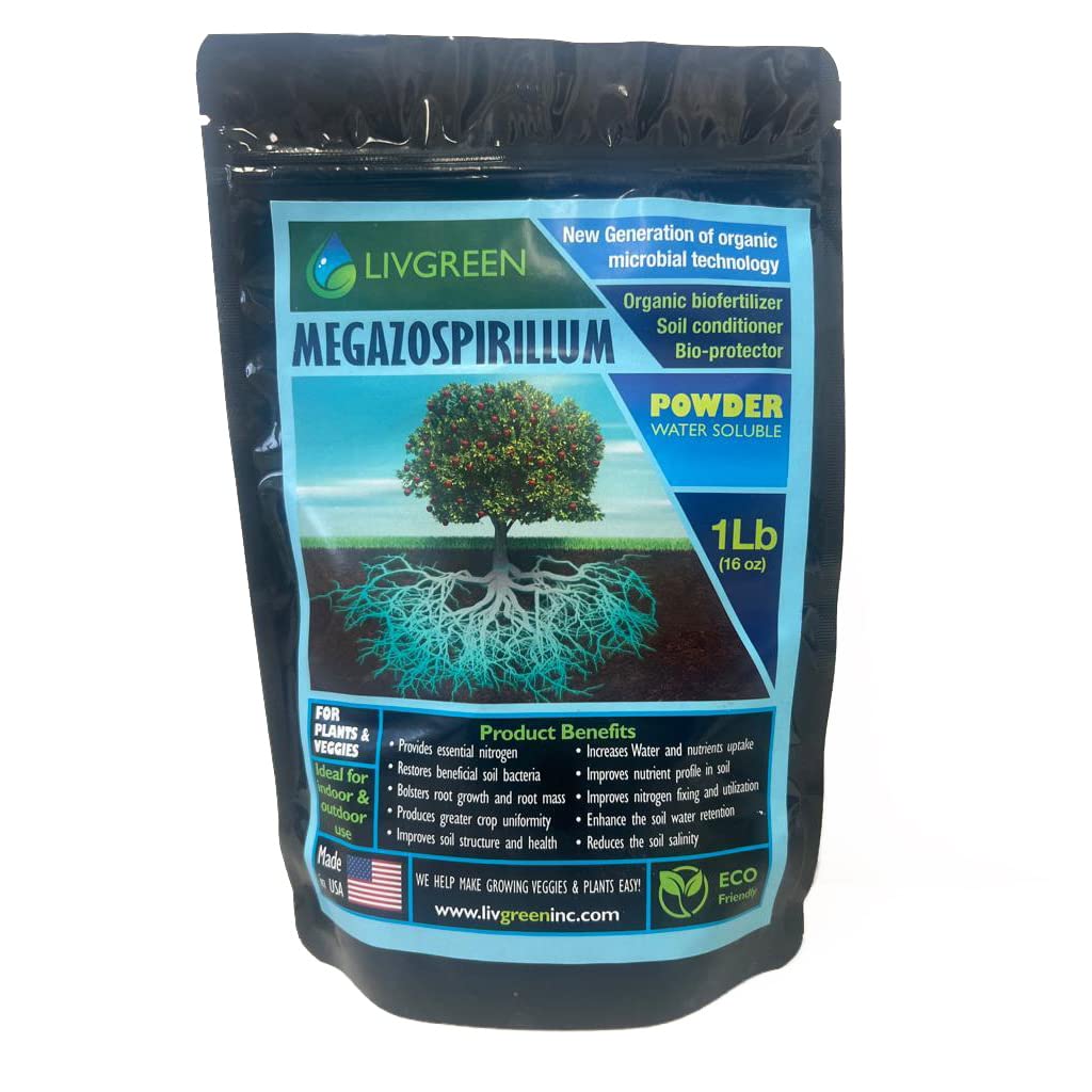 Megazospirillum, Azospirillum Super Blend, Organic Bio Fertilizer ...